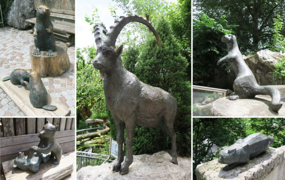 Cradling Alpine Creatures - Alpenzoo Innsbruck - #myinnsbruck