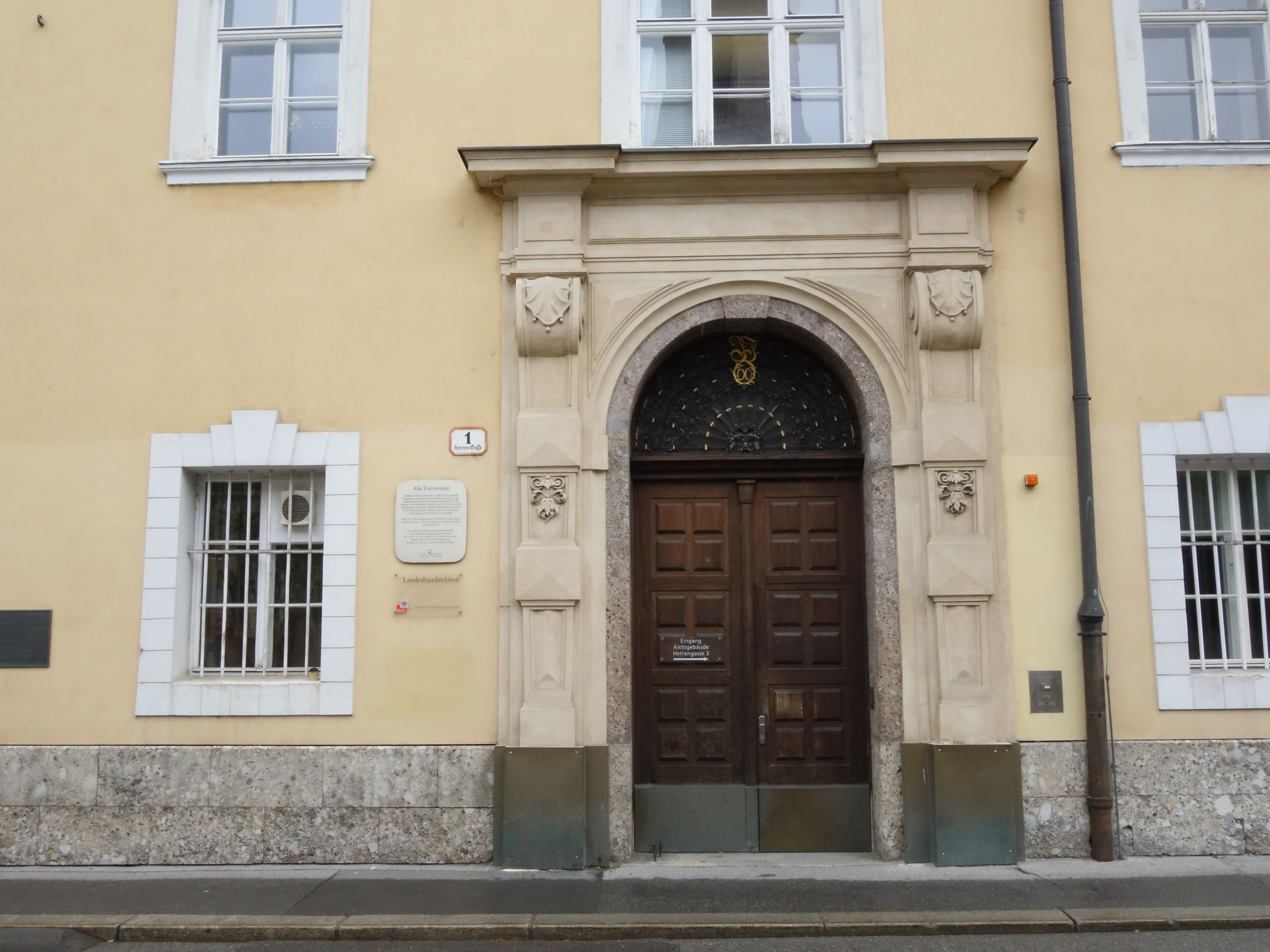 Operation Greenup: The rescue of Innsbruck - #myinnsbruck