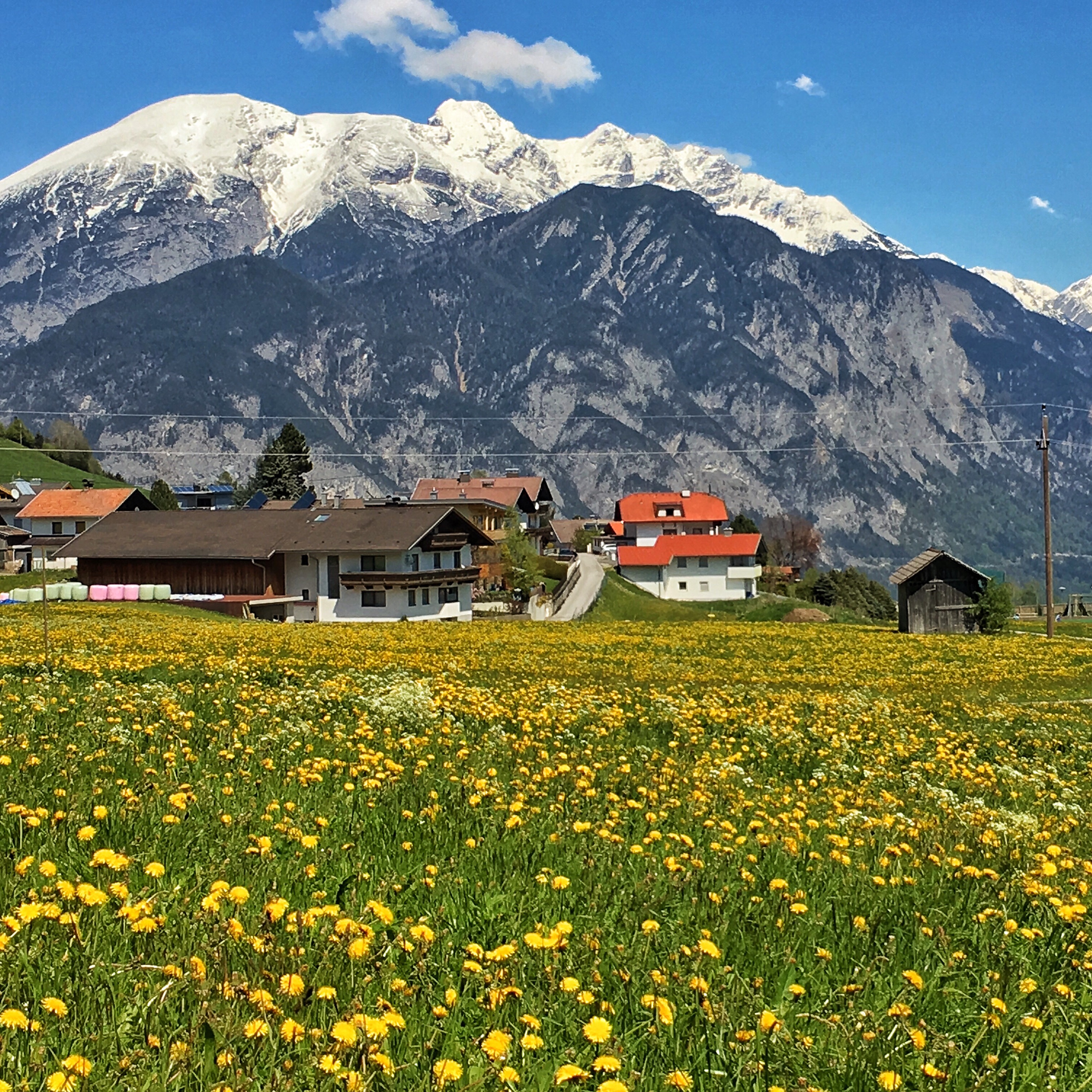 Operation Greenup: The rescue of Innsbruck - #myinnsbruck