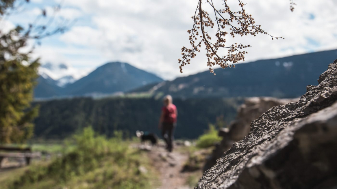 Wandeling in de Beneden Schlossbachkloof bij Zirl - #myinnsbruck