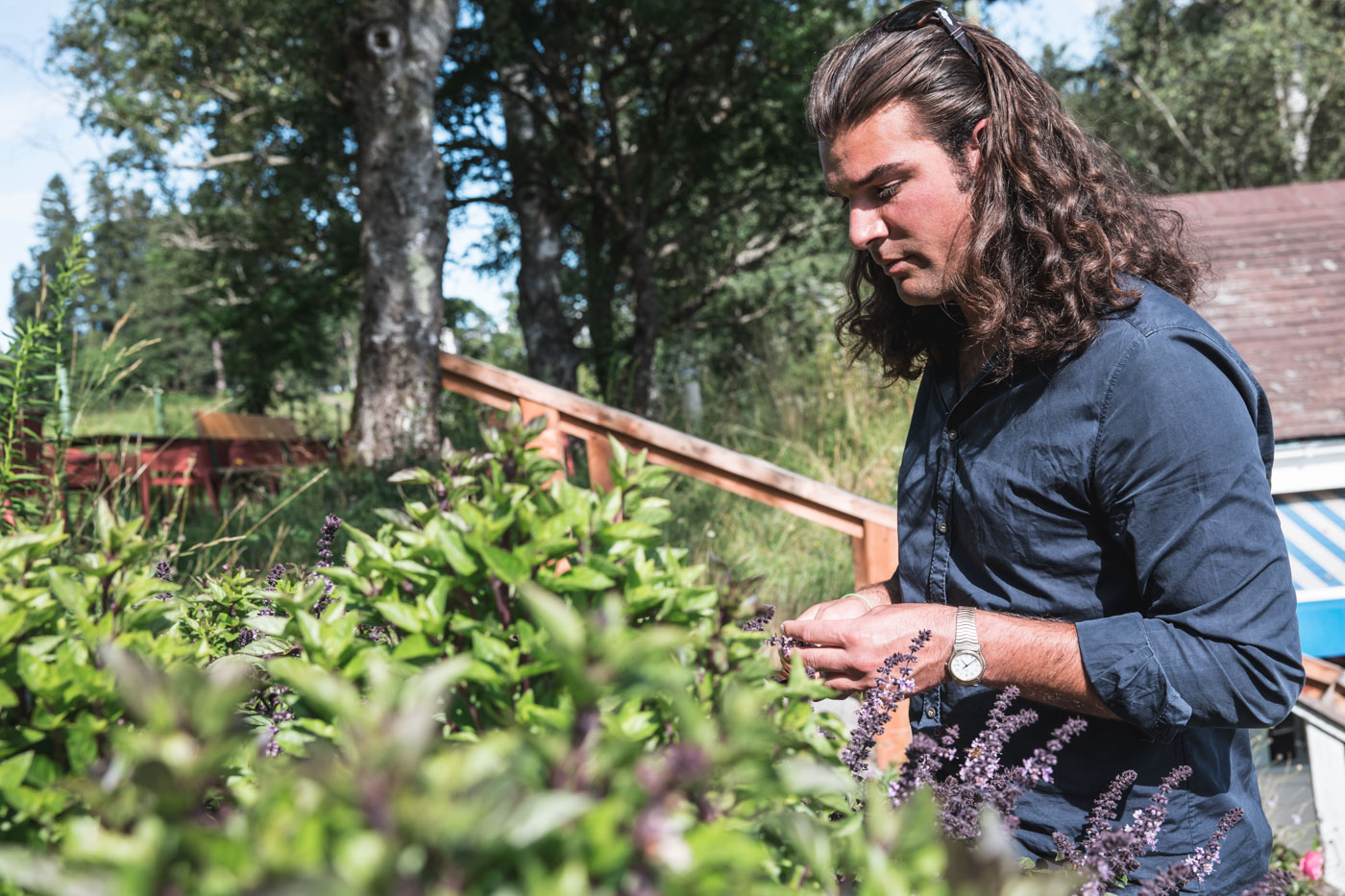Neues Farm-to-table Konzept am Lansersee - #myinnsbruck