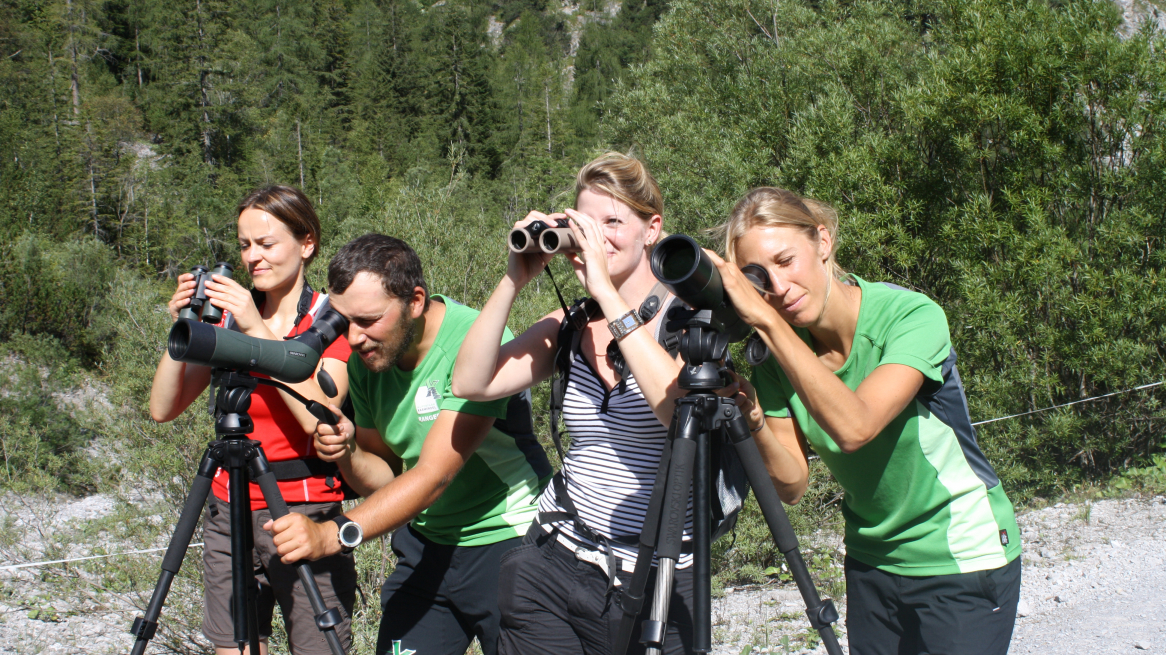 Wild Innsbruck - #myinnsbruck